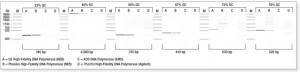 Q5 High Fidelity DNA Polymerase - New England Biolabs France