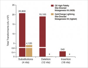Q5® Site Directed Mutagenesis Kit - New England Biolabs