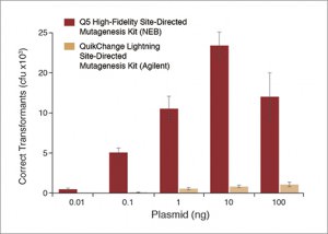 Q5® Site Directed Mutagenesis Kit - New England Biolabs