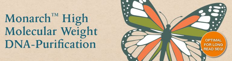 Monarch HMW DNA Extraction Kits - New England Biolabs France