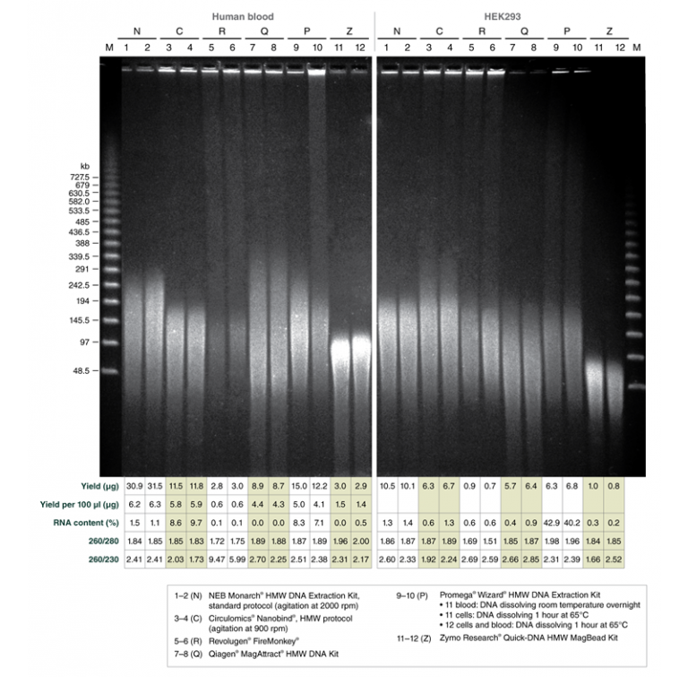 Monarch Hmw Dna Extraction Kits New England Biolabs France