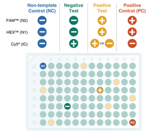 Luna SARS-CoV-2 RT-qPCR Multiplex Assay Kit - New England Biolabs France