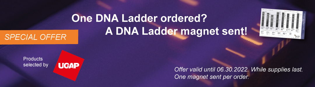 RNA Markers and Ladders - New England Biolabs